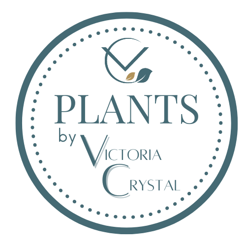 Contact – Plants by Victoria Crystal